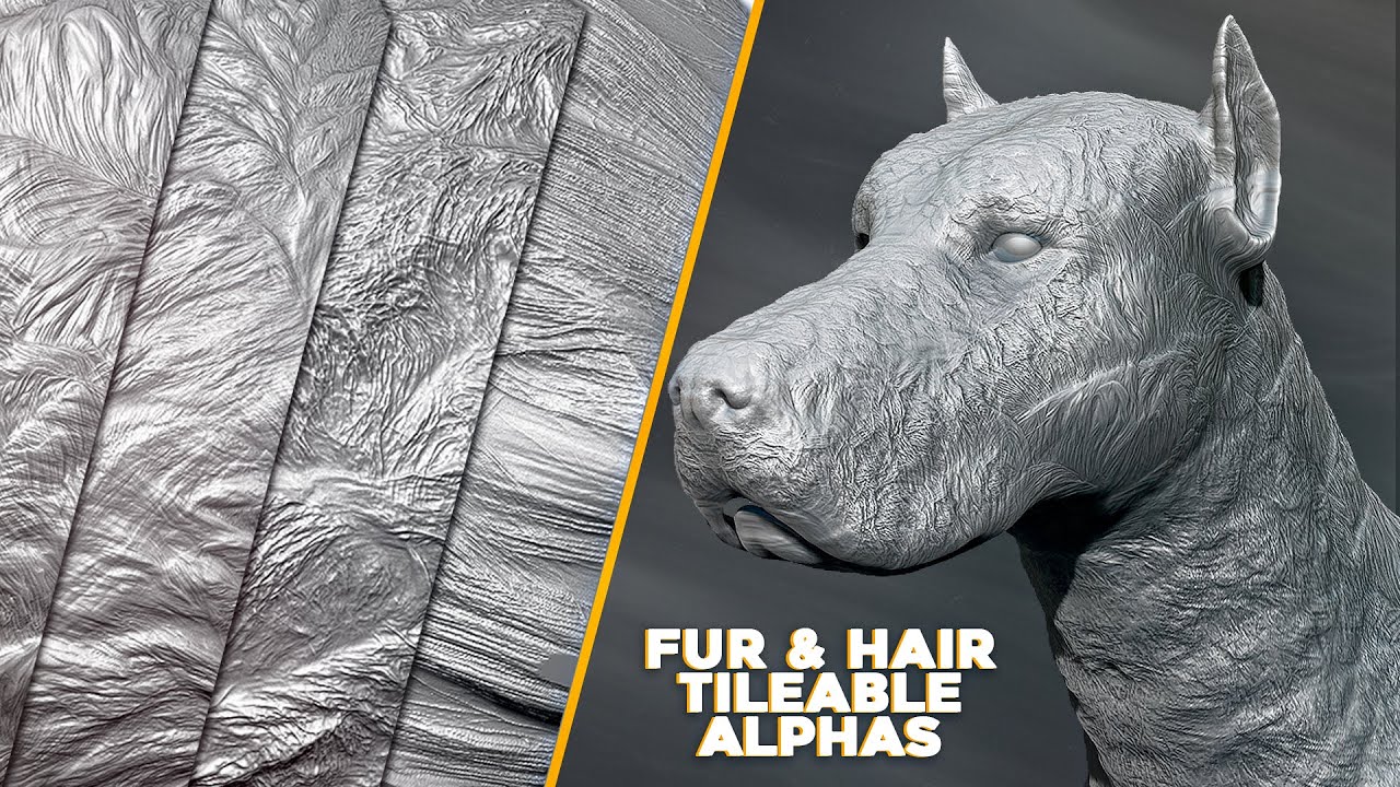 ZBrush Fur Sculpting. Hair and Fur Alphas Preview for ZBrush. - YouTube