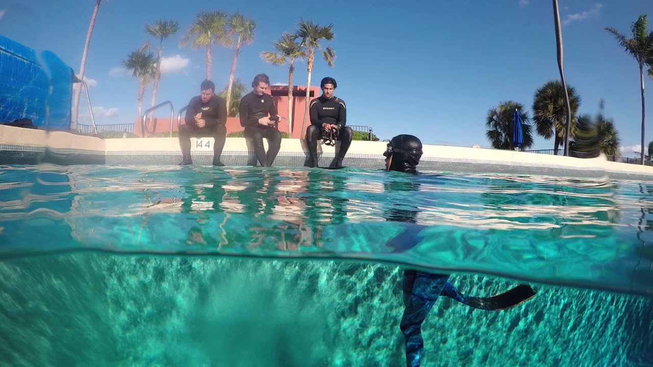 How to do a freedive / spearfishing DUCK DIVE - YouTube