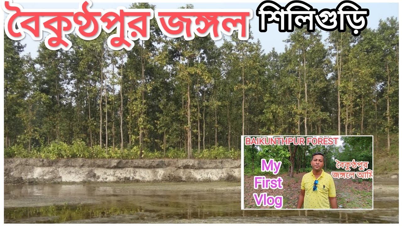 Baikunthapur forest Siliguri | Forest village Siliguri |বৈকুণ্ঠপুর ...