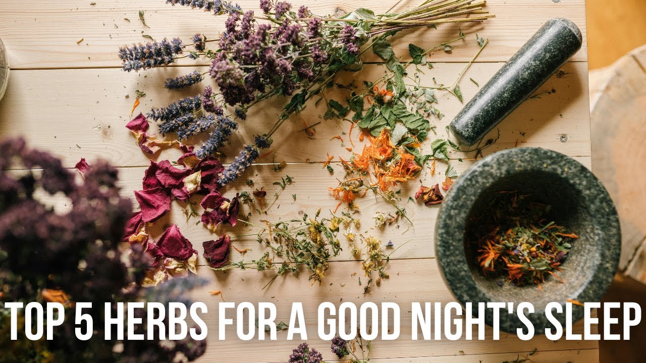 Top 5 herbs for a good night's sleep - YouTube
