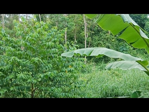 Good evening September 16th - YouTube