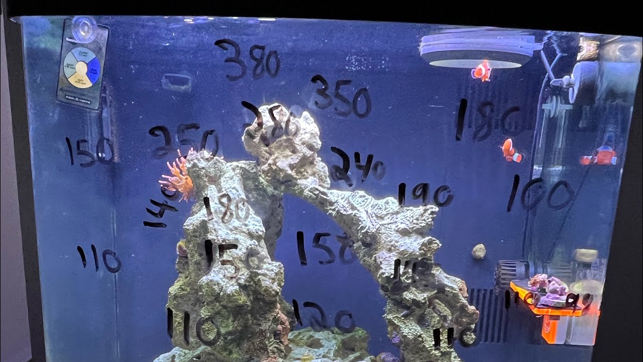 Measuring PAR levels in 32g Biocube with stock LED lights/hood (these ...