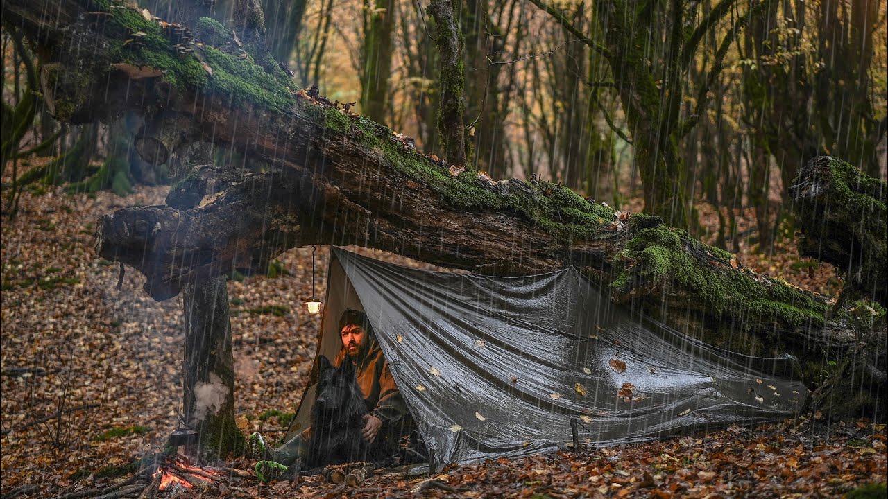 Surviving in heavy rain under a fallen tree without a tent - YouTube