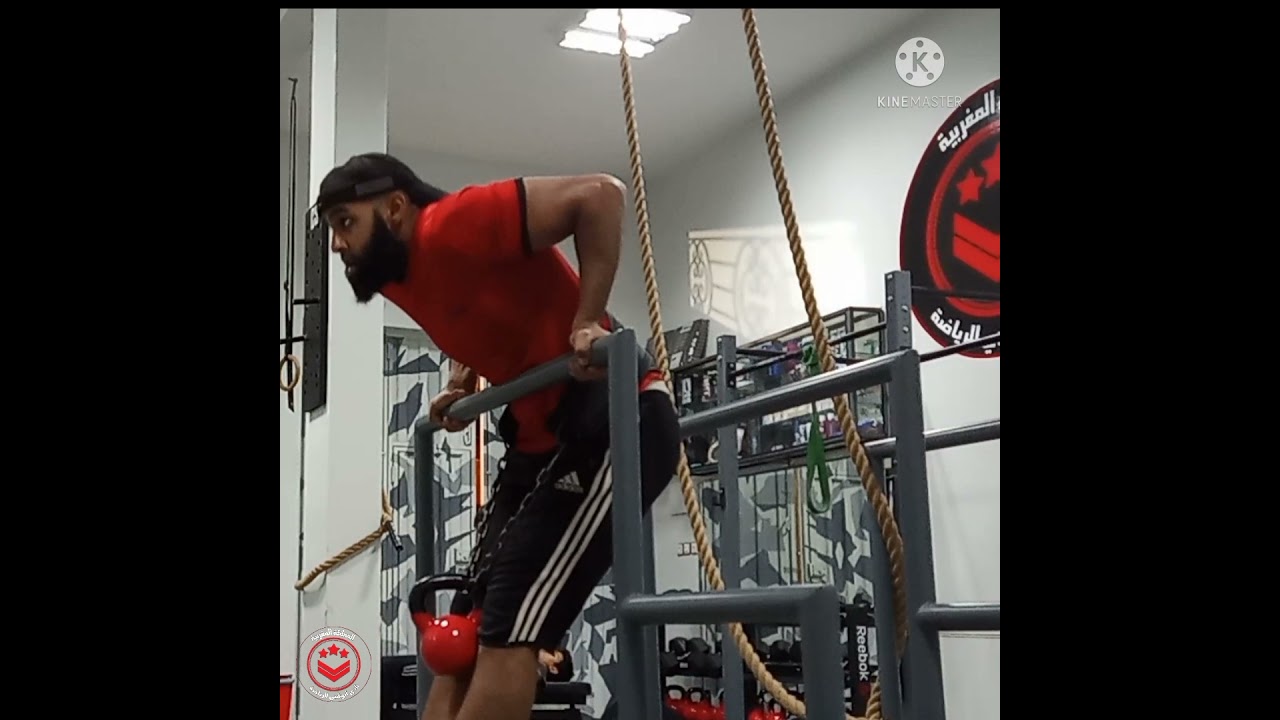 reverse dips barre - YouTube