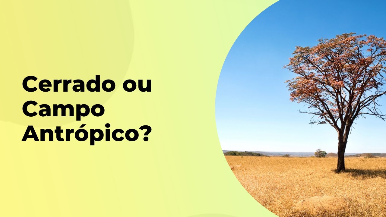 COMO DIFERENCIAR CERRADO DE CAMPO ANTRÓPICO? - YouTube
