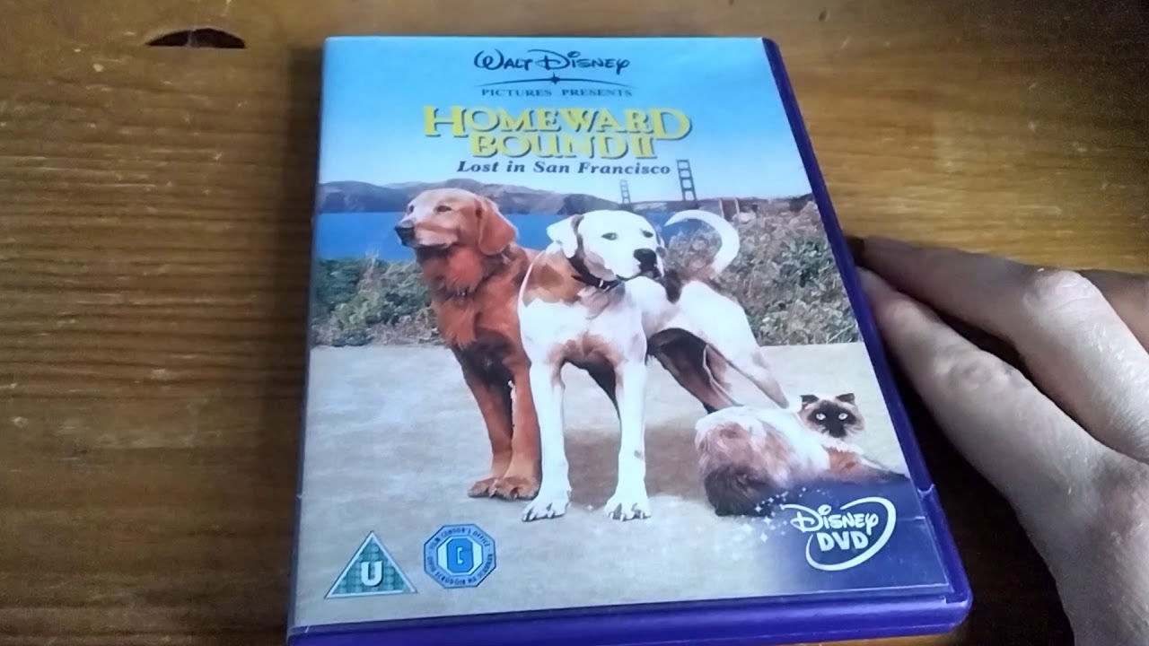 My Homeward Bound DVD collection - YouTube