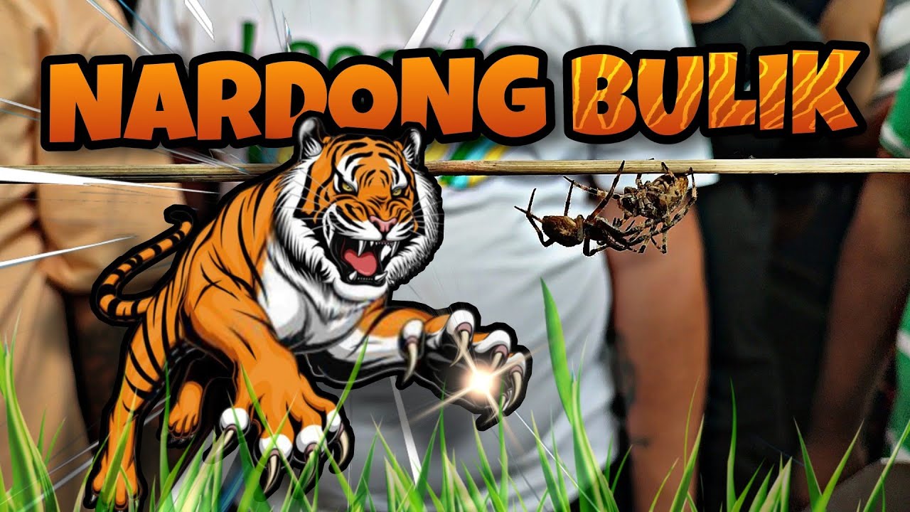 NARDONG BULIK | YT VIDEO TO GALLERY - YouTube