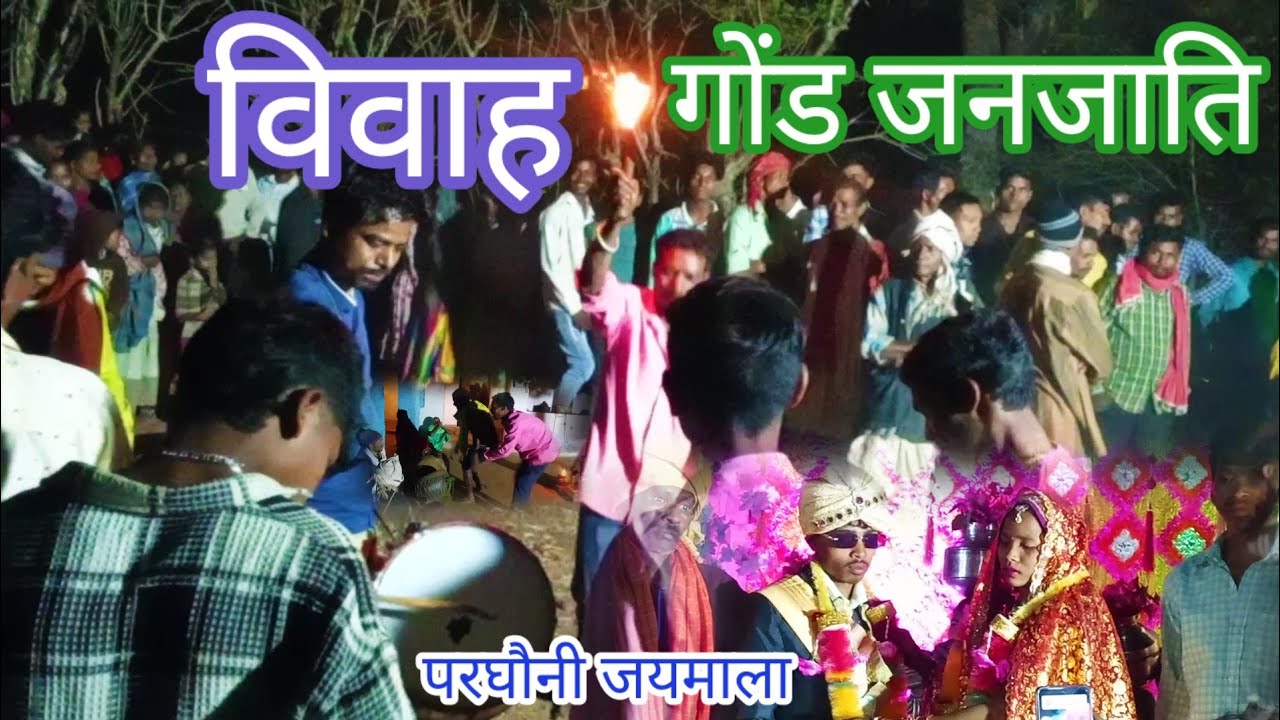 गोंड जनजाति विवाह, परघौनी जयमाला कार्यक्रम।।gond janjati vivah ...