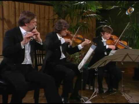 W. A. Mozart - Flute quartet KV 298 - Kuijken quartet - YouTube