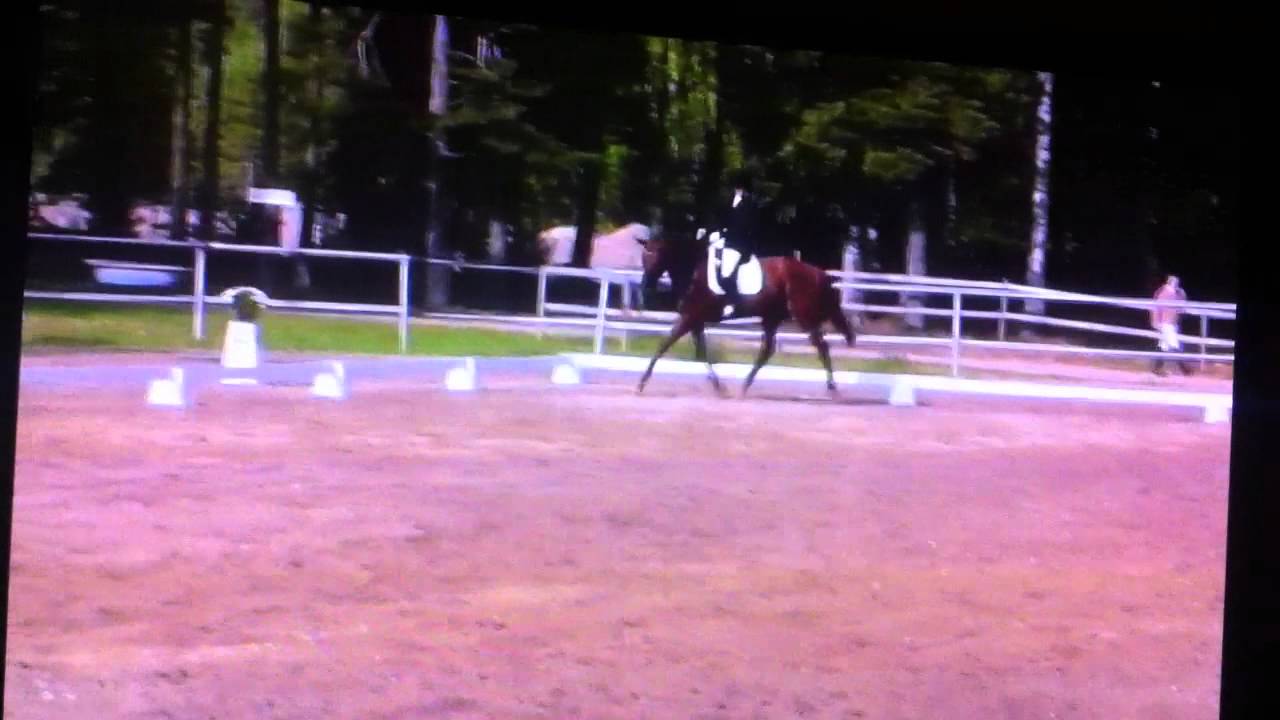 IMG 1305 YouTube IMG 1305 YouTube