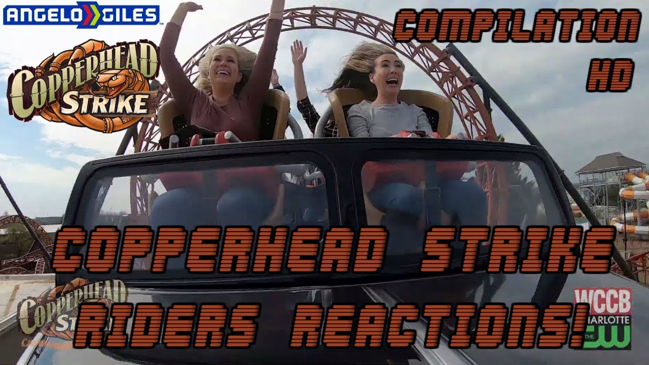 Copperhead Strike On Ride Reaction Compilation | HD | - YouTube