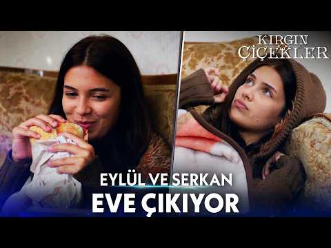 Eylül ve Serkan'ın Eve Çıkış Serüveni - Kırgın Çiçekler Kolaj