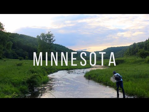 The most beautiful evening | Cow pastures & Wild Trout | Fly Fishing Minnesota