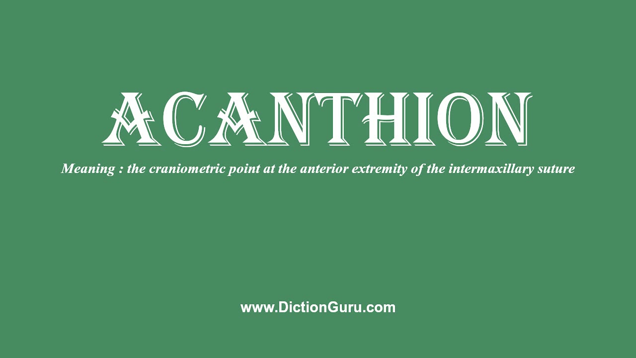 acanthion: How to pronounce acanthion with Phonetic and Examples - YouTube