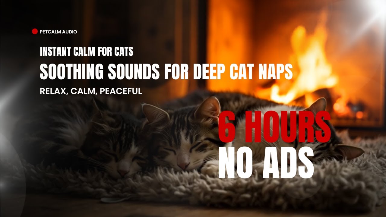 Cat Sleep Music – Soothing Sounds for Deep Cat Naps | Relaxing Music ...