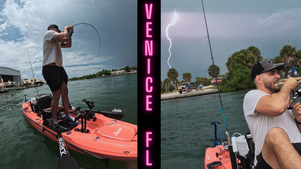Solid action fishing Venice Inlet- Venice, FL - YouTube