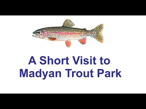 A SHORT VISIT TO MADYAN TROUT PARK - YouTube