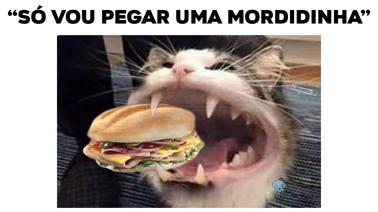 MEMES EM IMAGENS - COMPILADO DO TIO GENIO #17 - YouTube