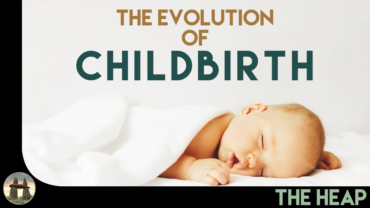 The Evolution of Childbirth - YouTube