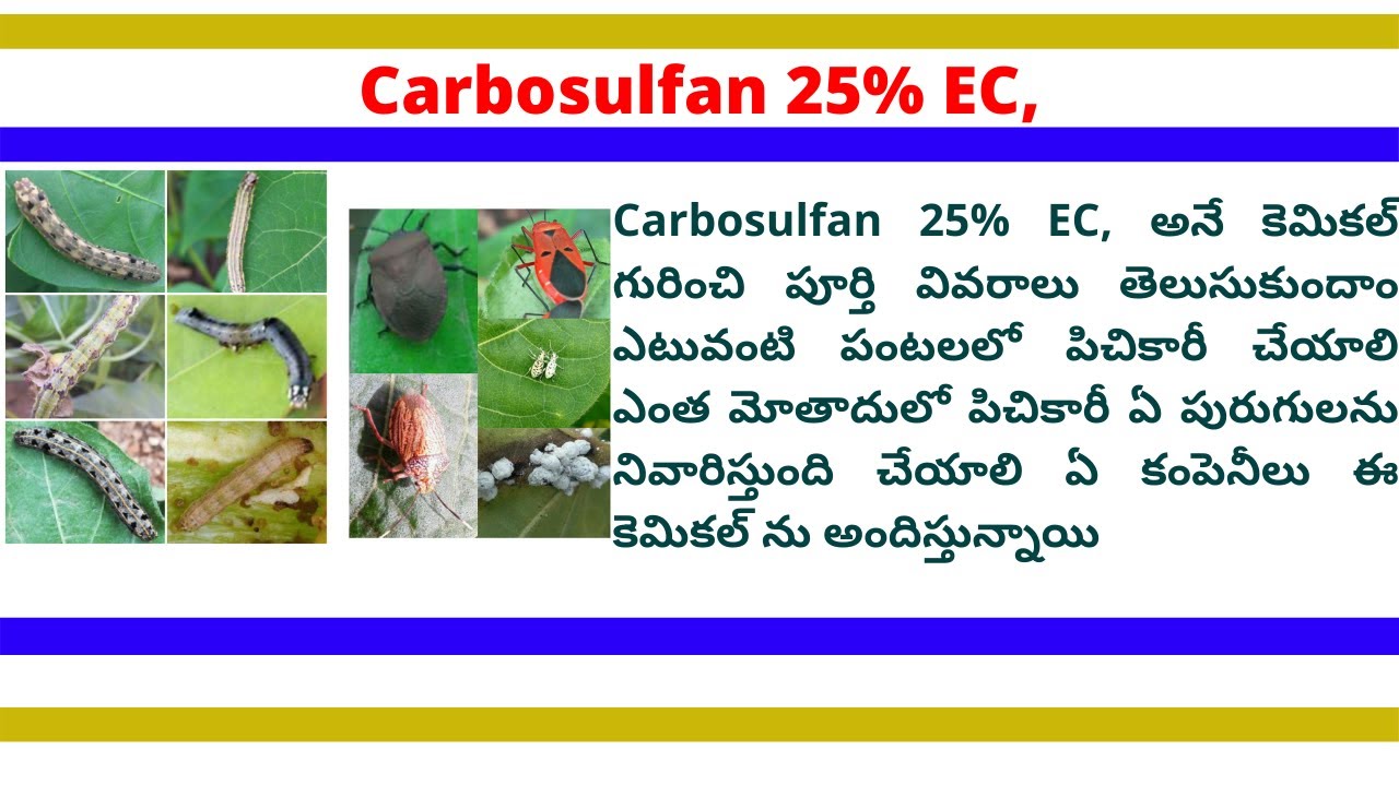 Carbosulfan 25 % EC Insecticide - YouTube