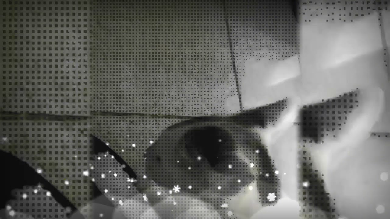 Mishu cat new video - YouTube