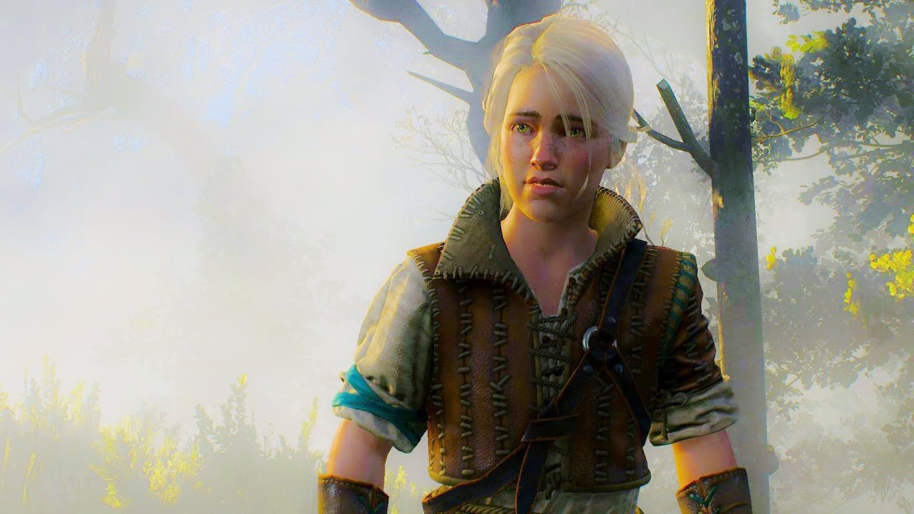 The Witcher 3: The Wild Hunt - Geralt meets adult Ciri for the first ...