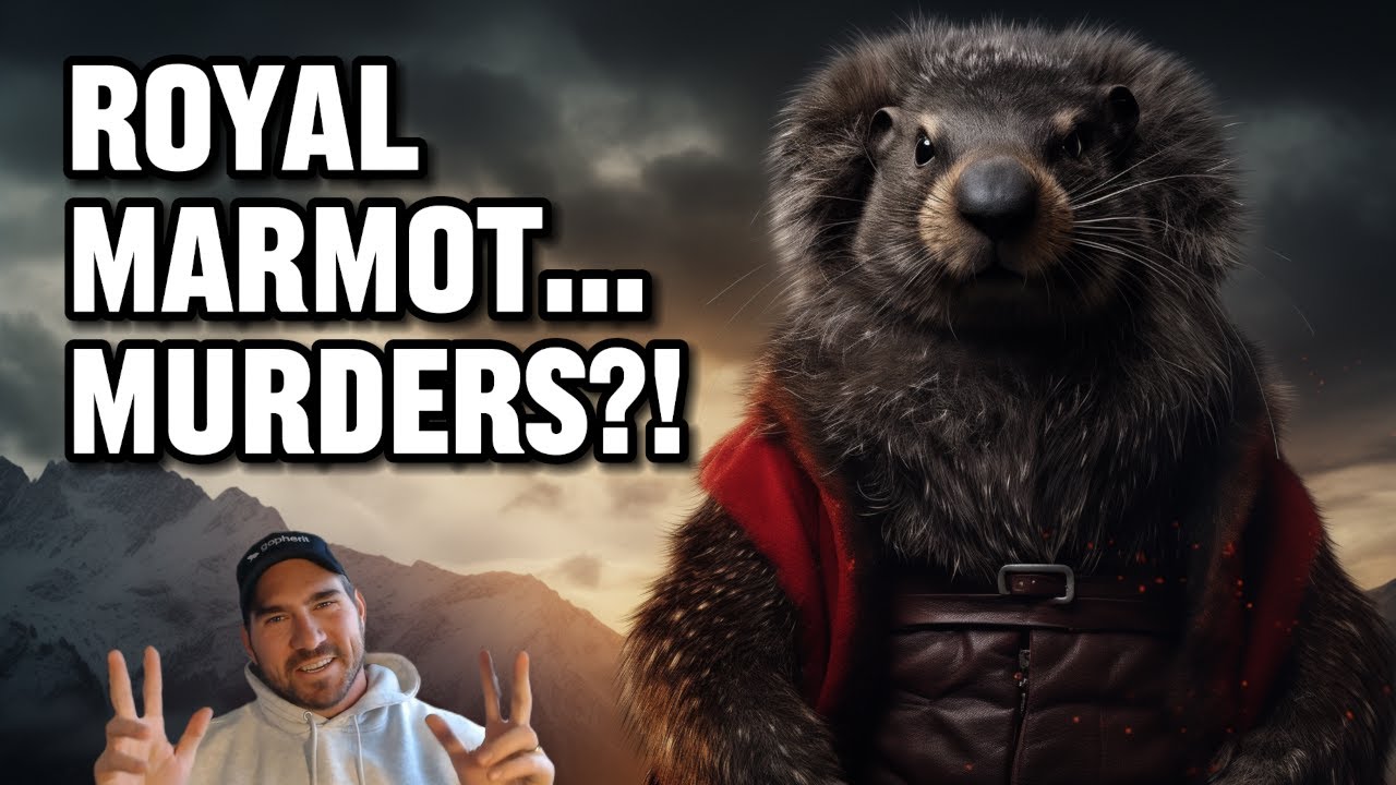 The Marmot | Cuddle Bugs or Violent Murderers?! - YouTube