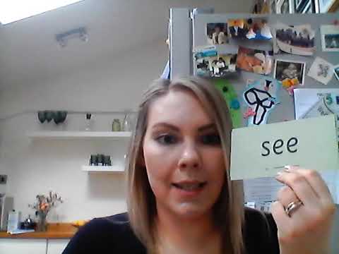 RWInc Set 2 Speed Sounds Lesson ee - YouTube