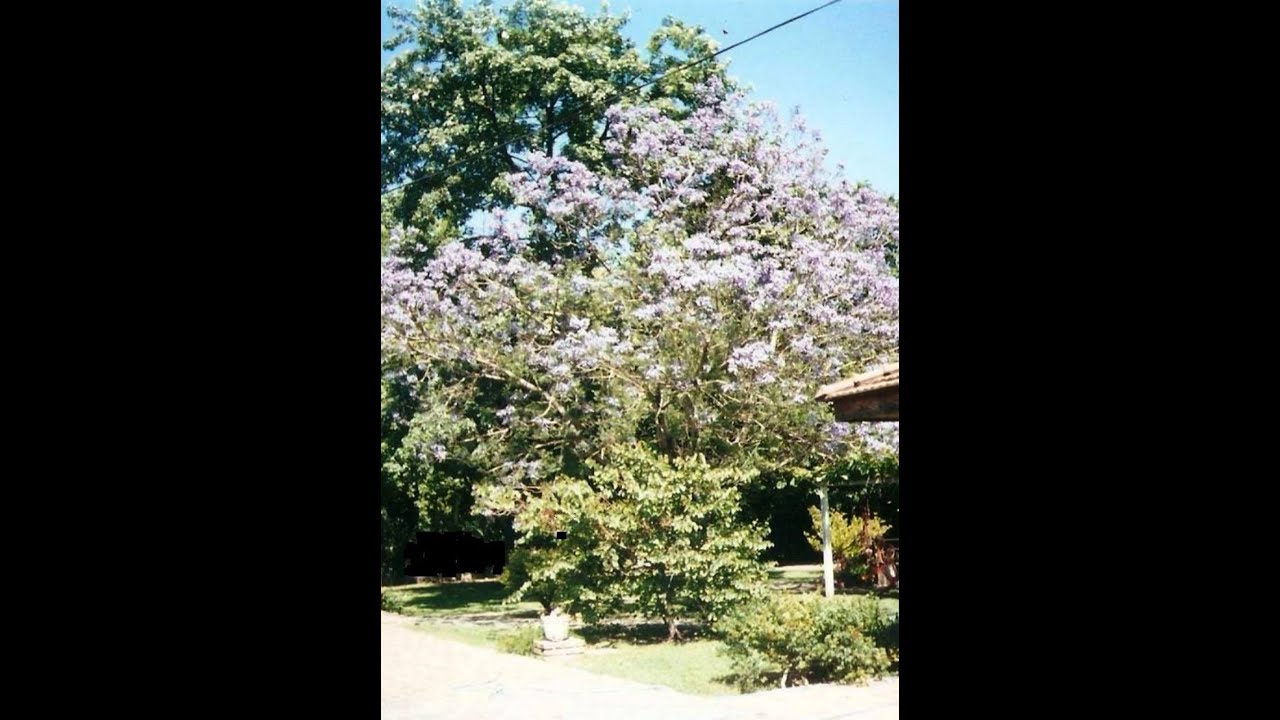 Espacios amados - Iván Sadovsky - YouTube