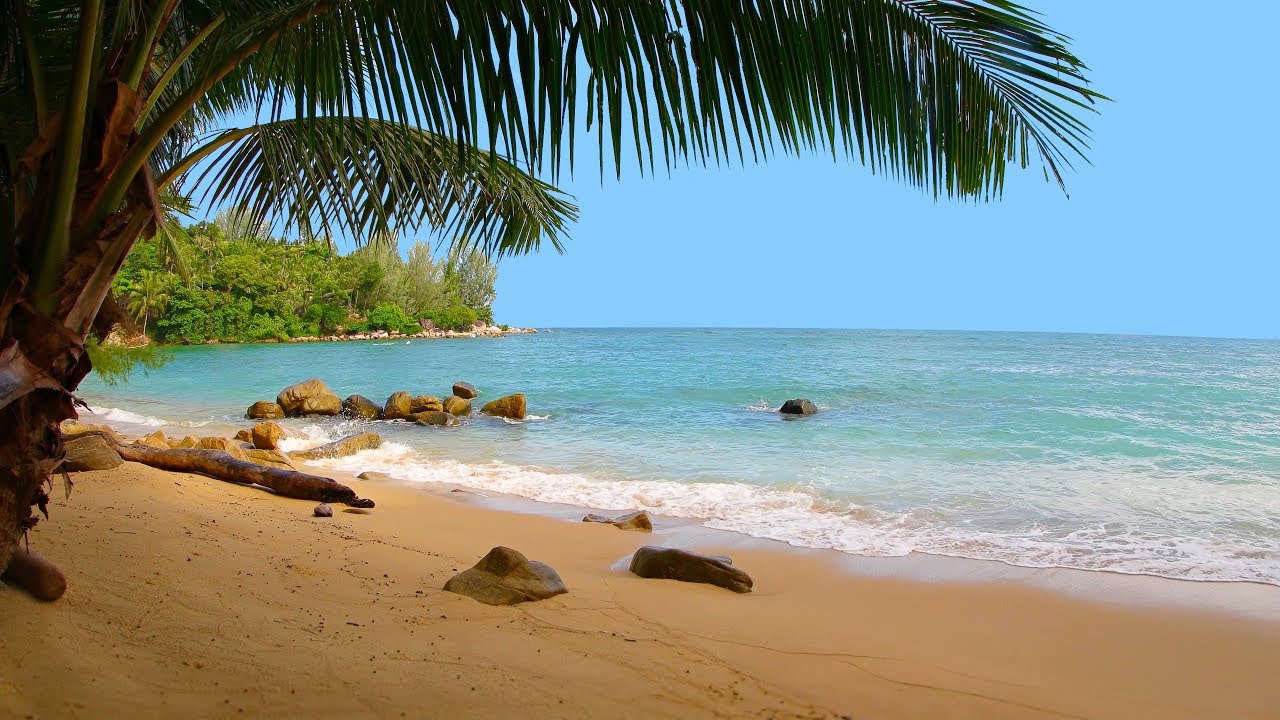 Relaxing Happy Music - Ethnic Flute, Peruvian Instruments - Relax Beach ...