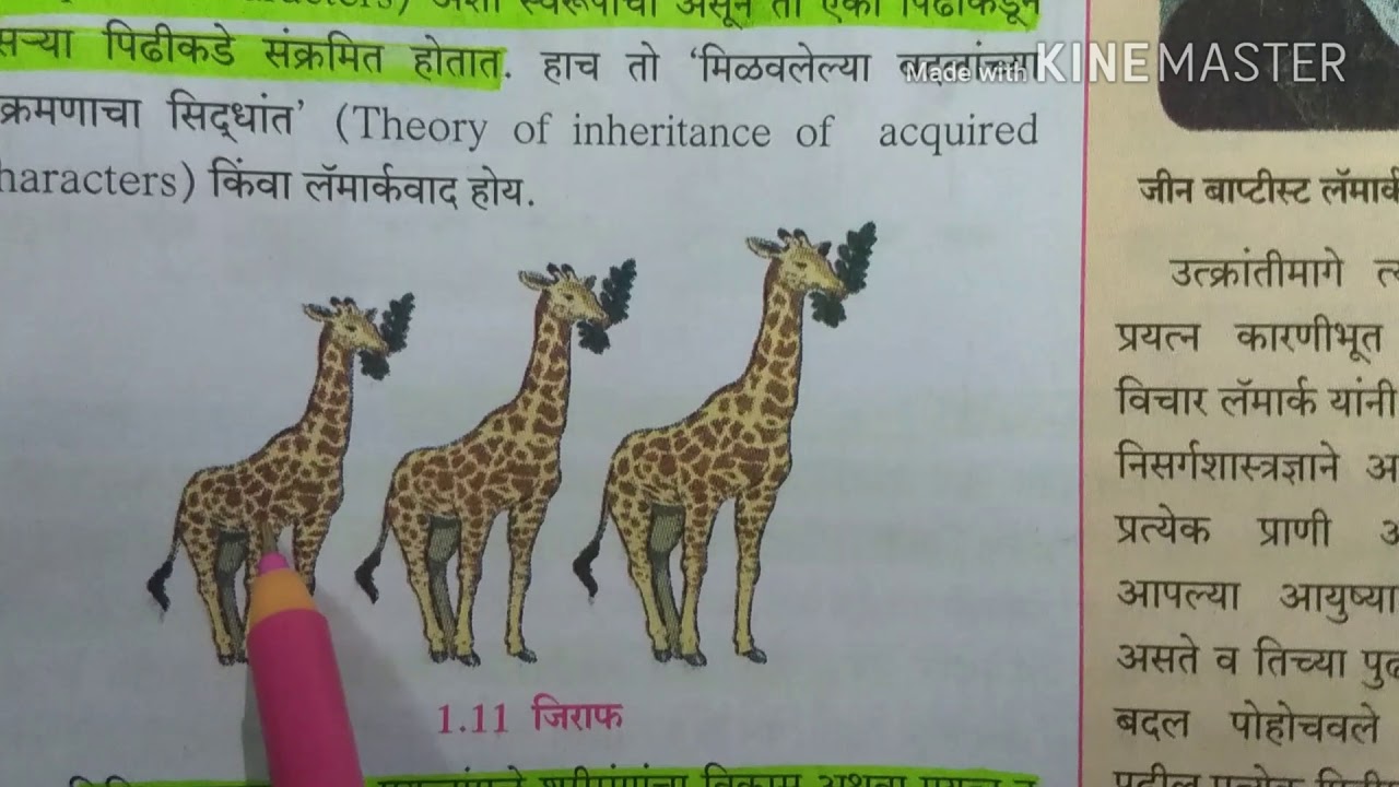 Lamarckism in Marathi , Heredity and Evolution - YouTube