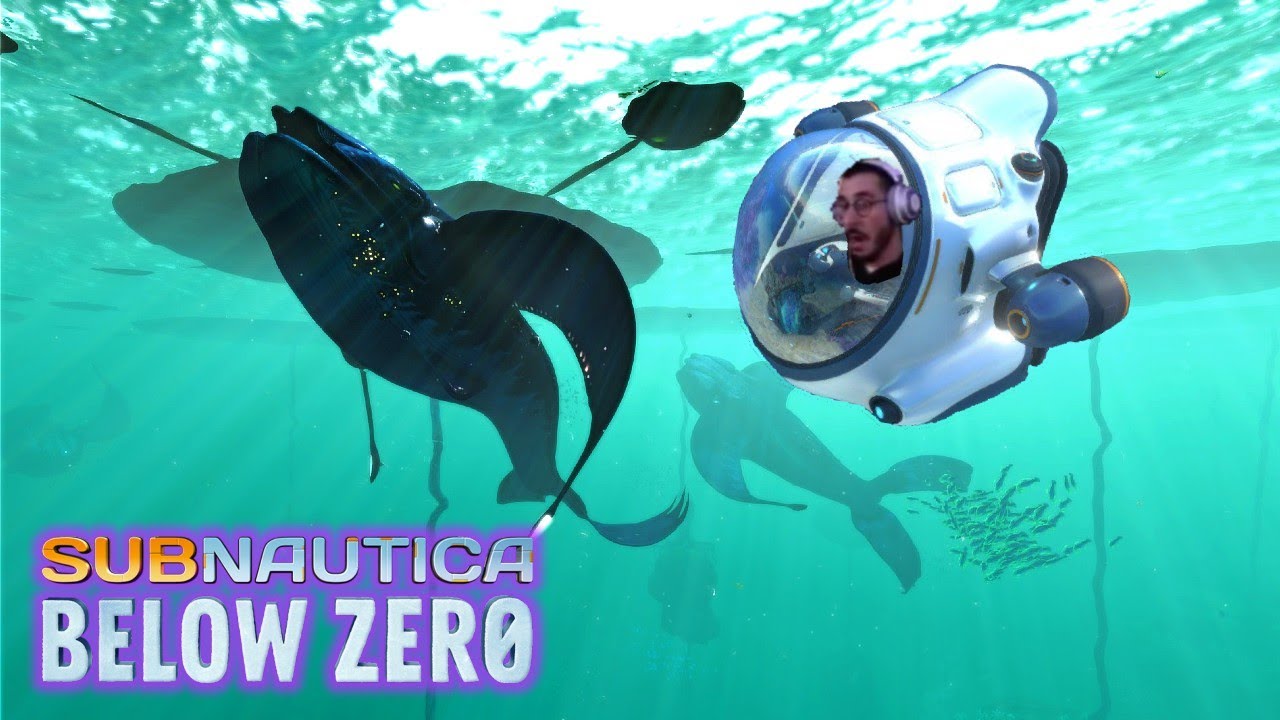 First Encounter With A Chelicerate.. Oh Lord - Subnautica Below Zero ...