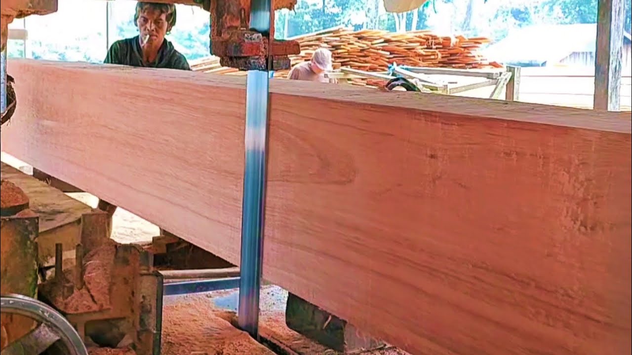 wujud nyata dari kayu Meranti merah, di gergaji di bandsaw 42 - YouTube