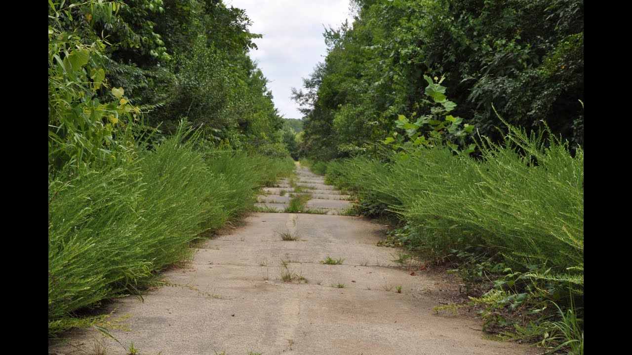 Abandoned Shuffletown Dragway July 6th, 2019 - YouTube