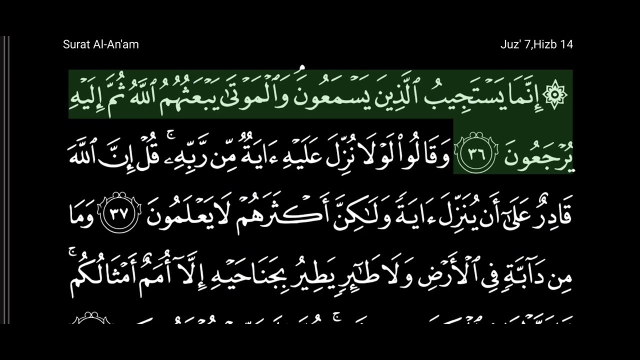 Surah 6 Al-An'am - Mishary Alafasy - Al Qur'an Surah 6 With Full Screen ...
