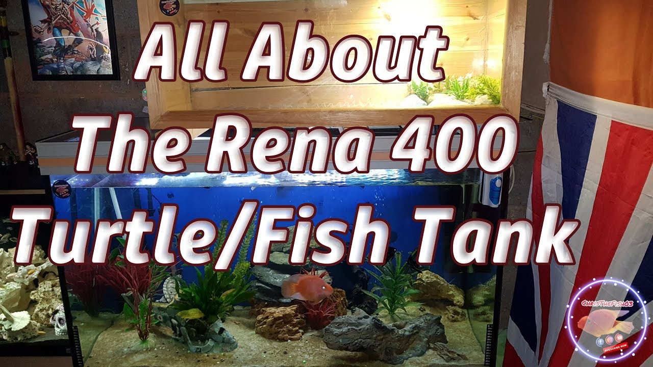 All About, The Rena 400 Turtle/Fish Tank! - YouTube