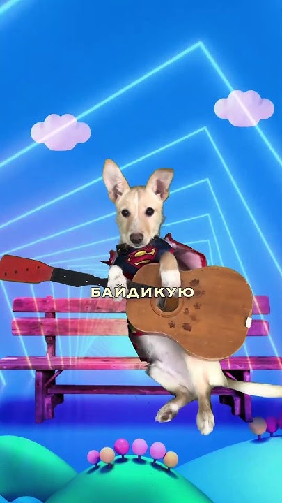 БУБЛИК і ГіТАРА🎸пишу новий хіт як вам💭 суперпес бублик