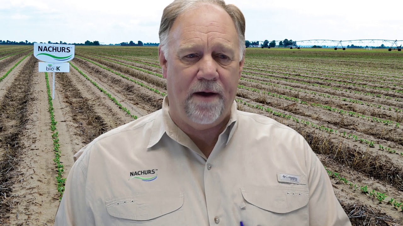 NACHURS VLOG: NACHURS playmaKer powered by Bio-K - YouTube