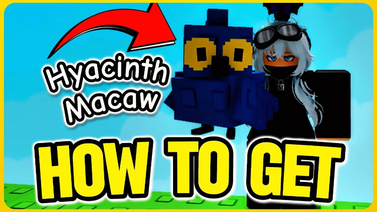 How to Get the HYACINTH MACAW in Grow a Garden + SHOWCASE - YouTube