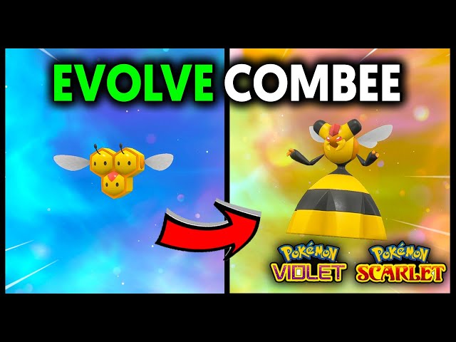 Combee Evolution Chart