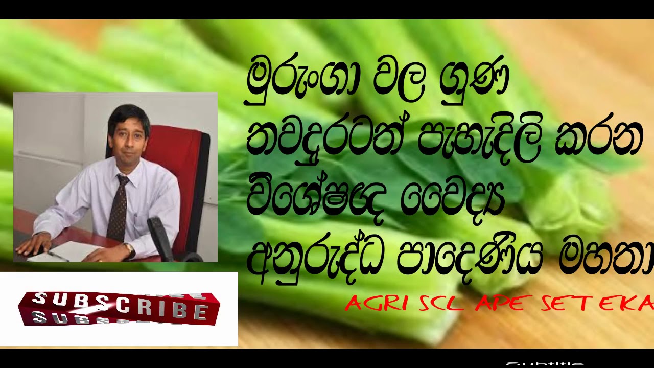 The Miracle Tree- MURUNGA - YouTube