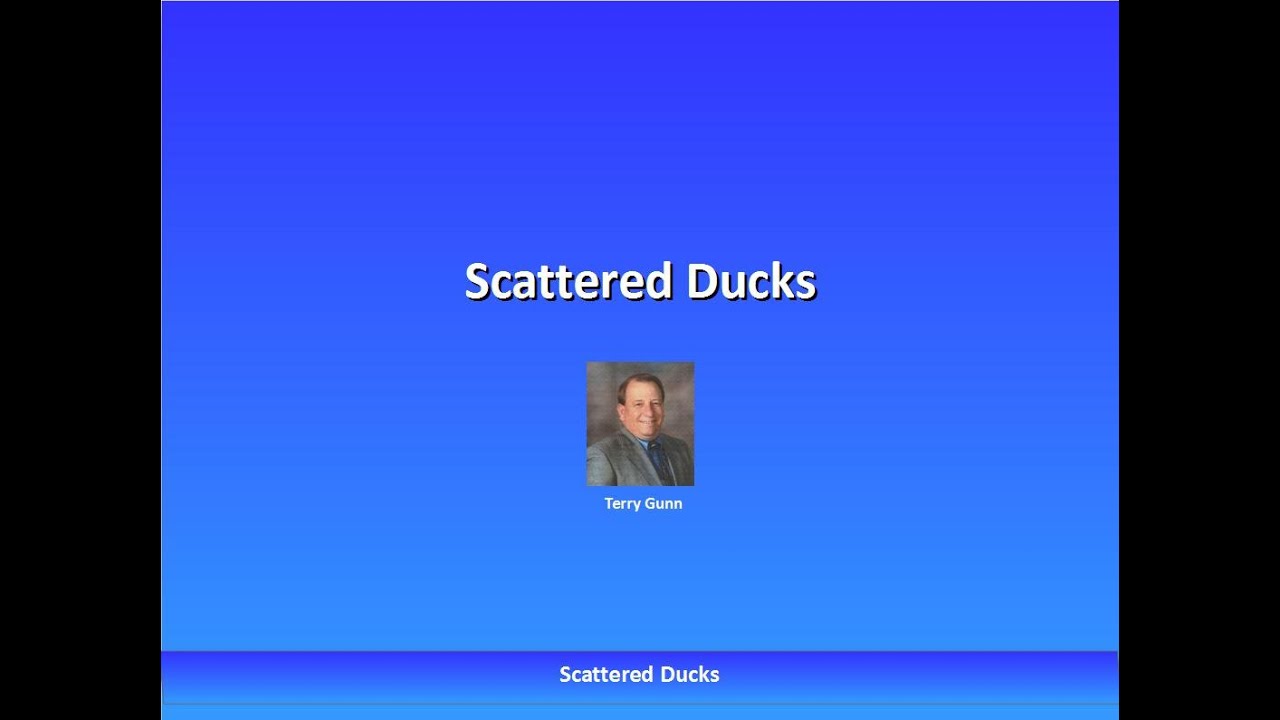 scattered ducks - YouTube