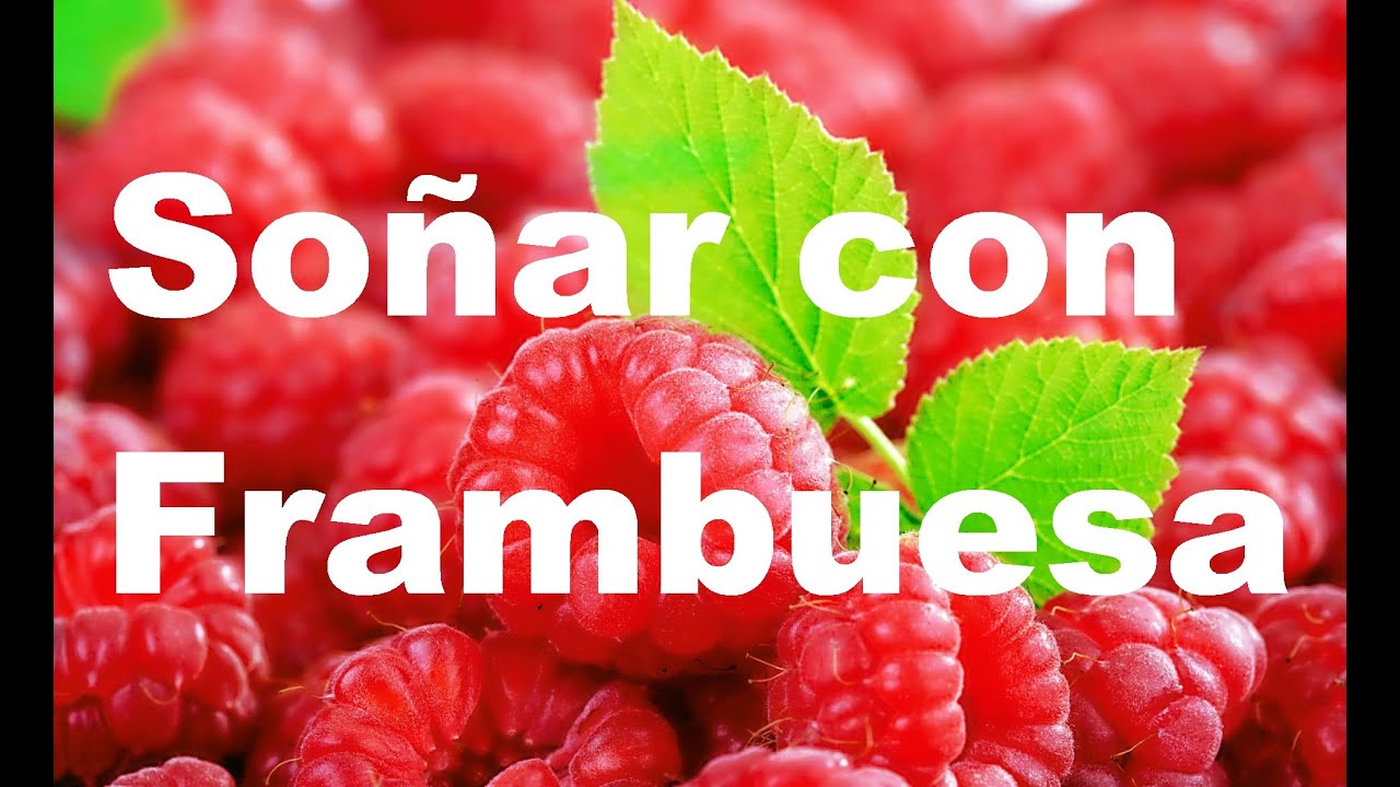 Frambuesa - Soñar con frambuesa, frambuesas - YouTube