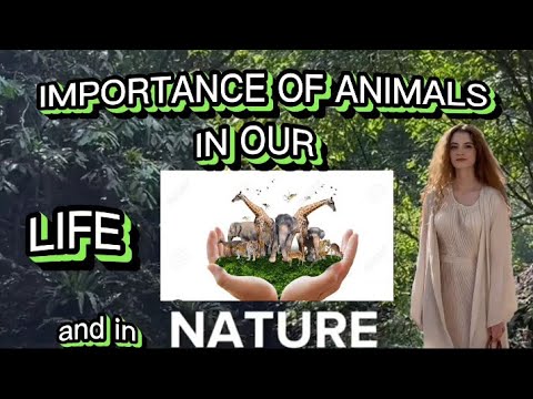 Importance of Animals in Our Life and in Nature #animals #knowledge # ...