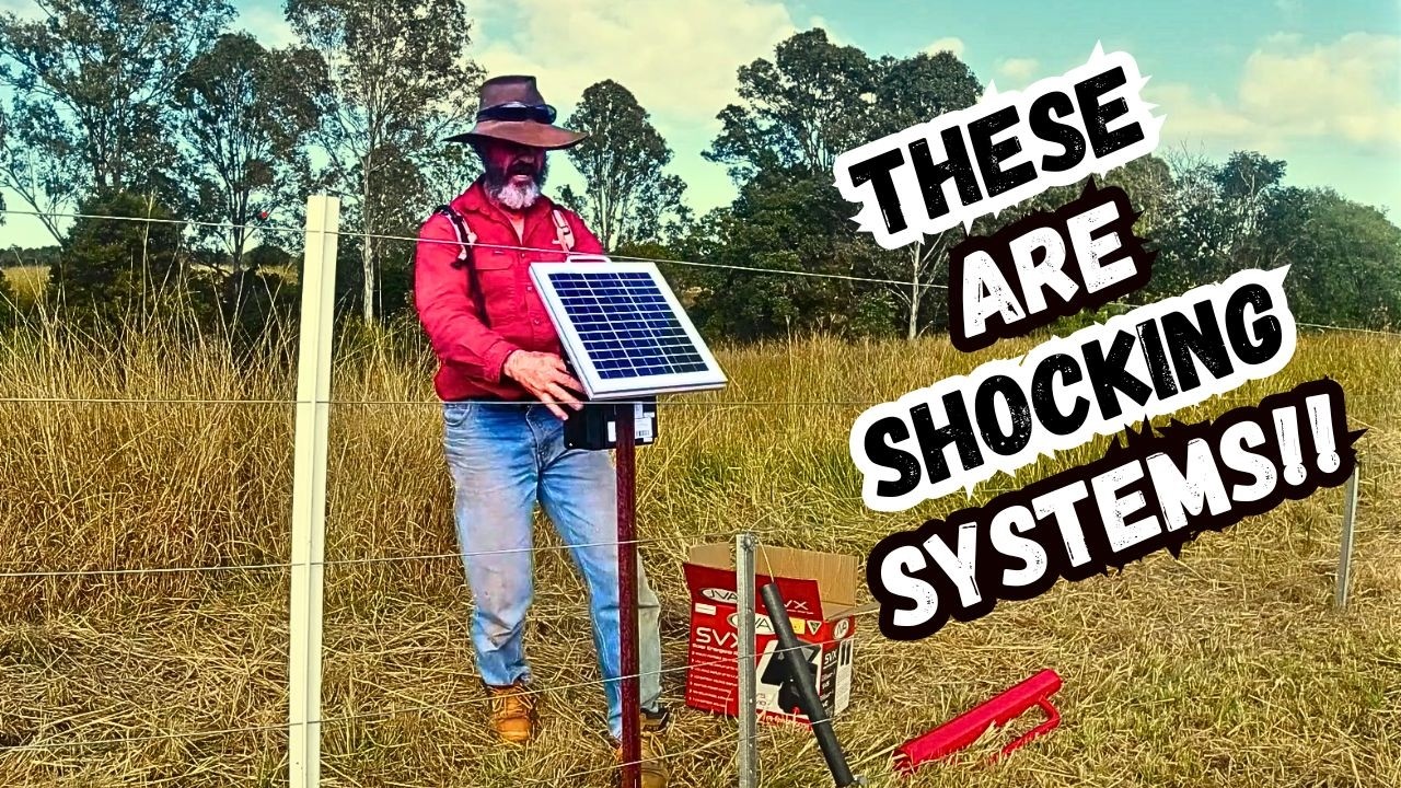 Timeless Fencing System & JVA Energiser what a shocking combination ...