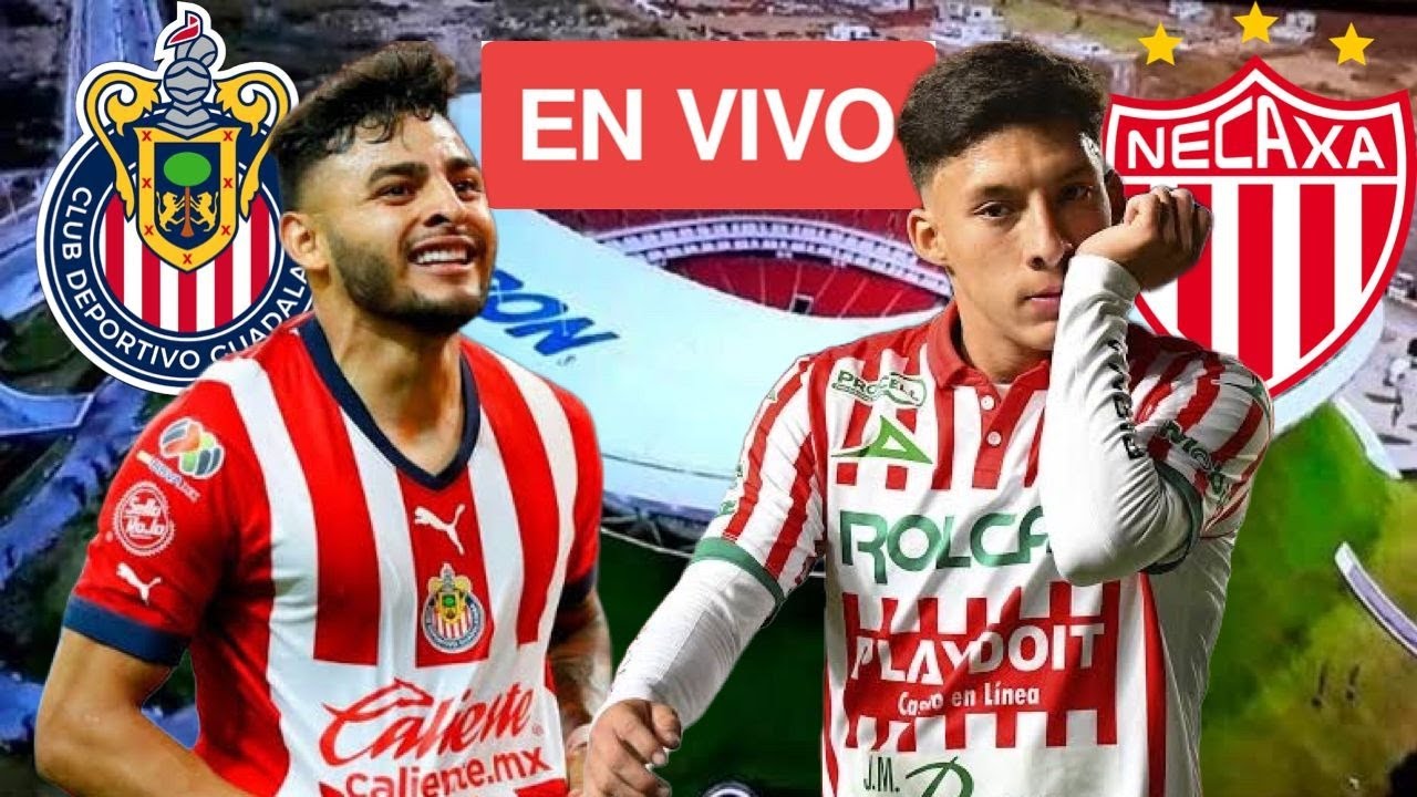 🚨Chivas vs Necaxa EN VIVO DESDE EL ESTADIO AKRON / La Previa / Noticias ...