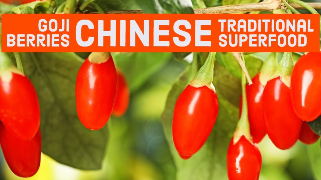Unlock the Power of Goji Berries: Discover the Health Secrets of a ...