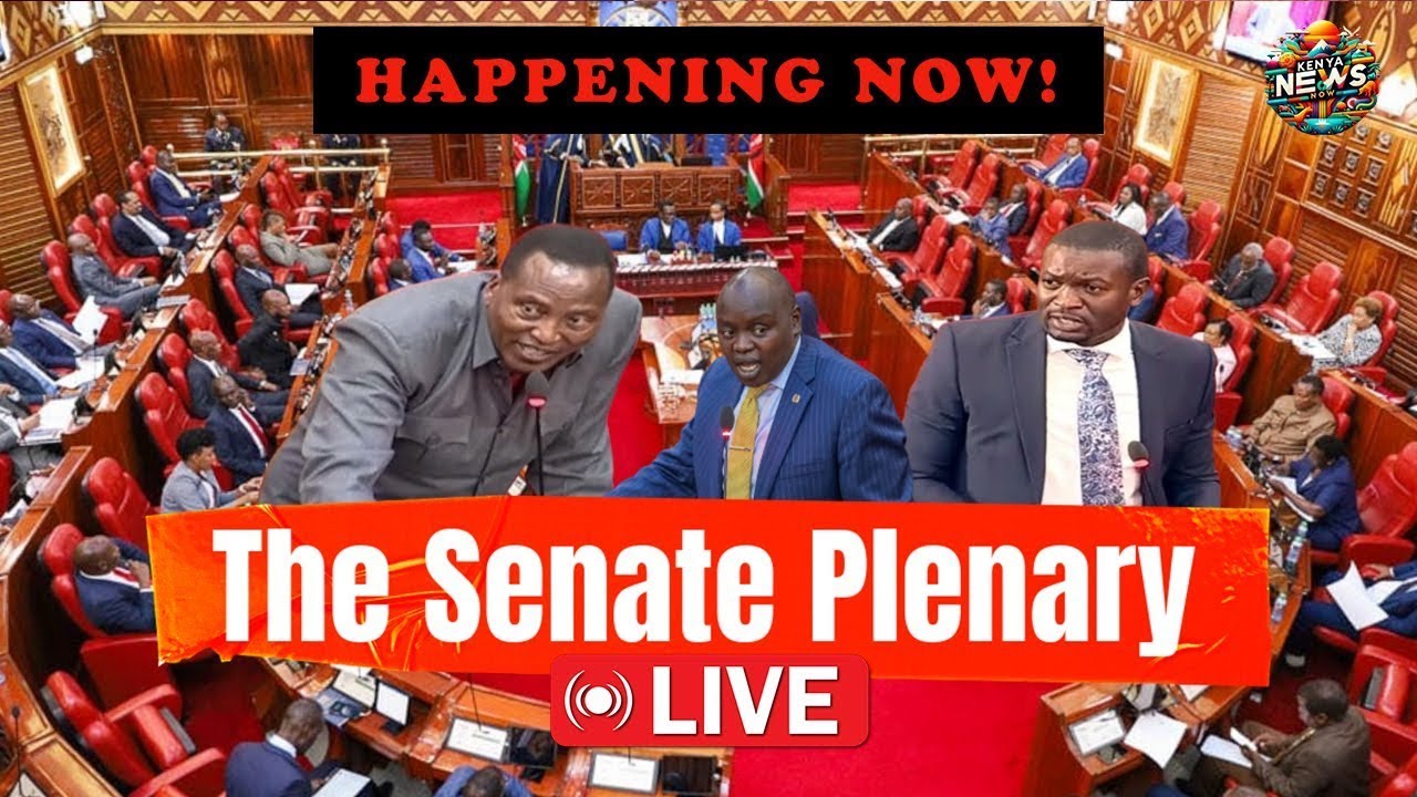 LIVE: Special Senate Assembly at Busia County Hall 7th October 2025 ...