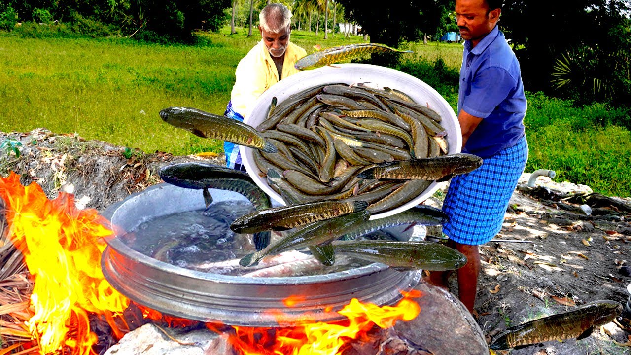 SNAKEHEAD MURREL FISH | Viral Meen Kuzhambu | River Fish Gravy Prepared ...