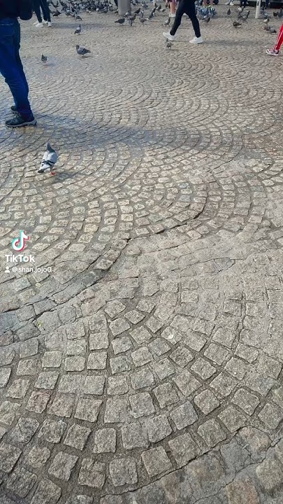 You won't believe what happened to me.....😌🥺. I don't own any rights for the music playing ...